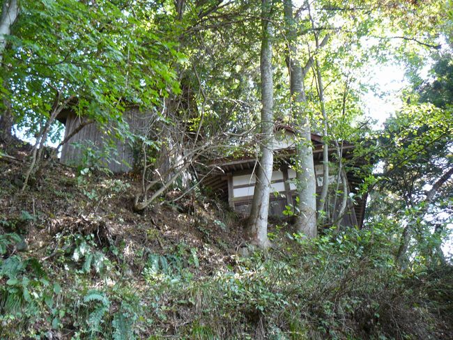 渋湯神社（温泉・観光）